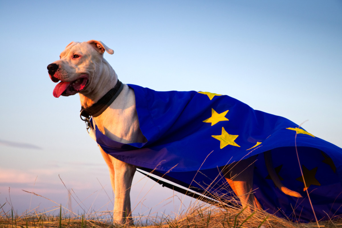 The Euro and the EU Super State - HubPages