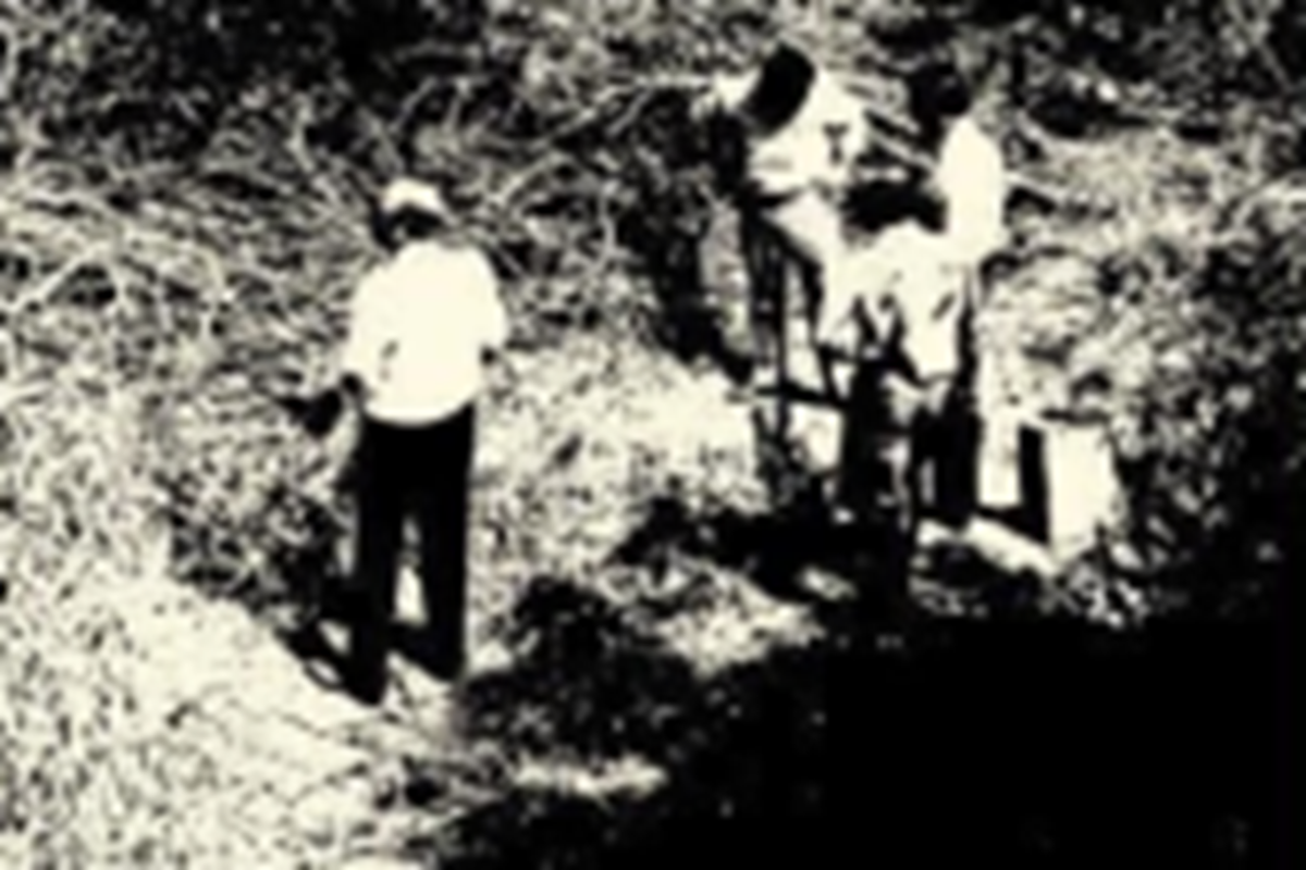 The Murder of Dorothy Jane Scott - HubPages