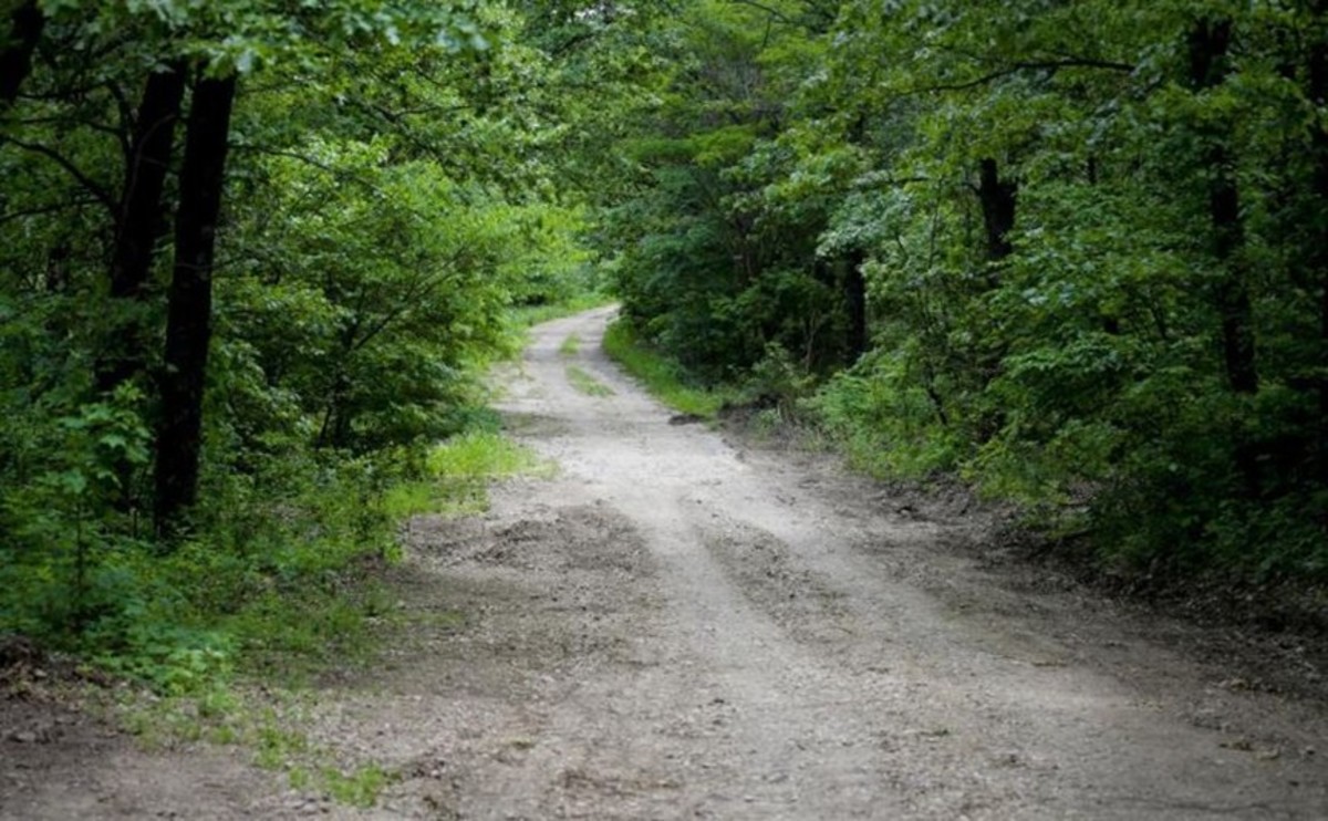 The 1977 Oklahoma Girl Scout Murders: Finally Solved by DNA? - HubPages