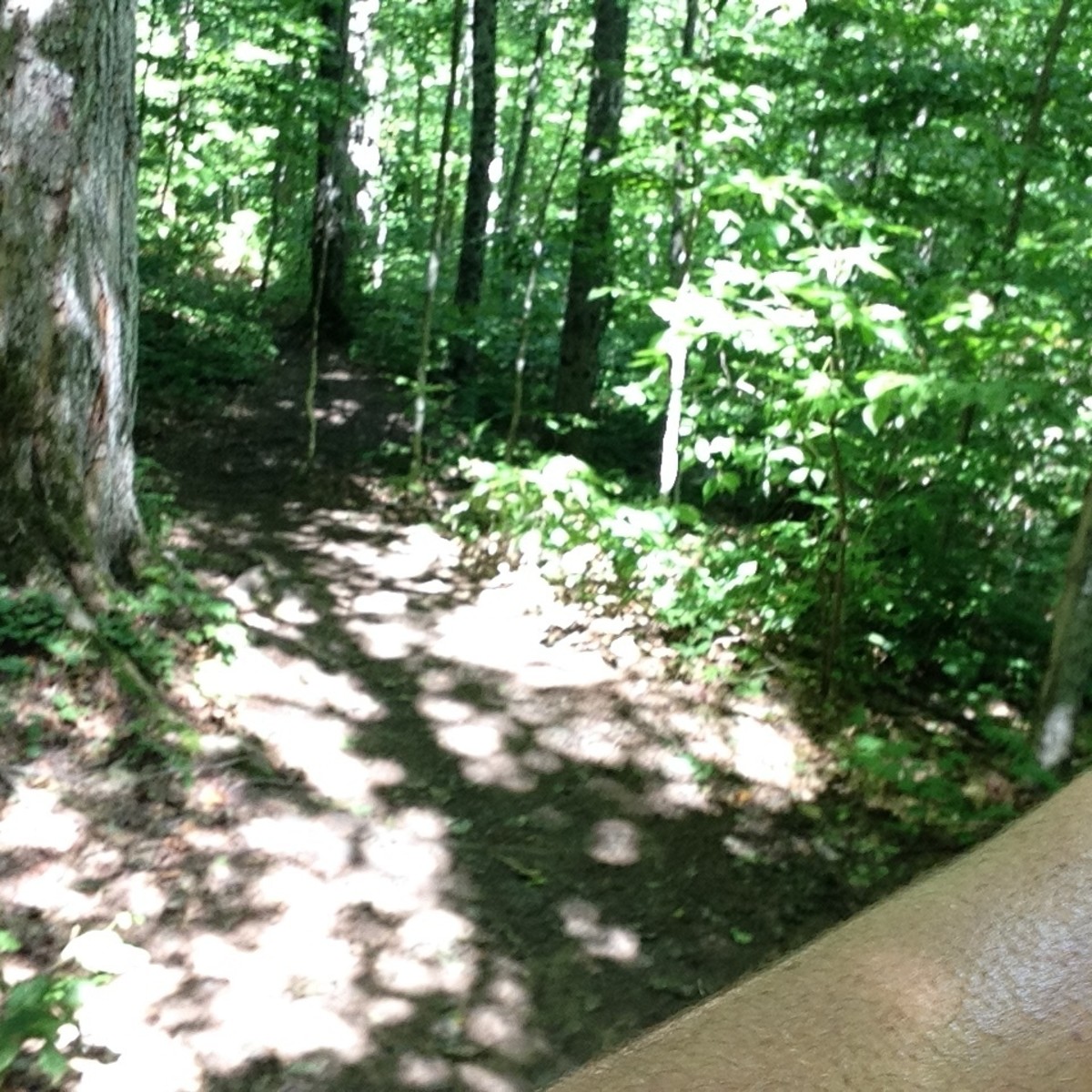 Adirondack Hike: Tupper Lake Triad - HubPages