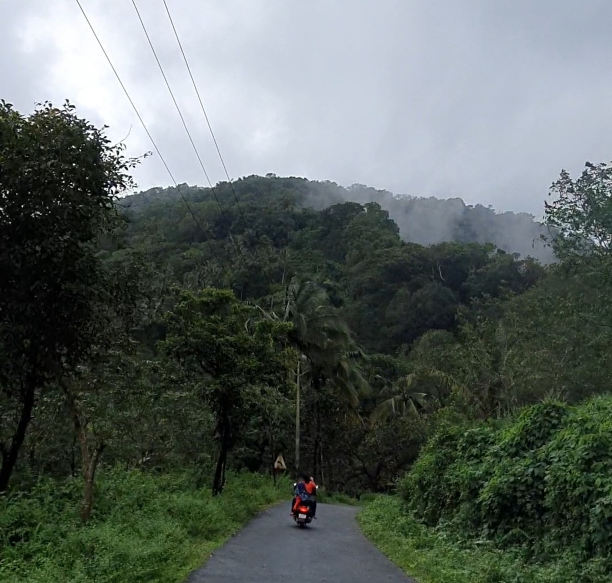 Vazhamala: An Unexplored Beauty - HubPages