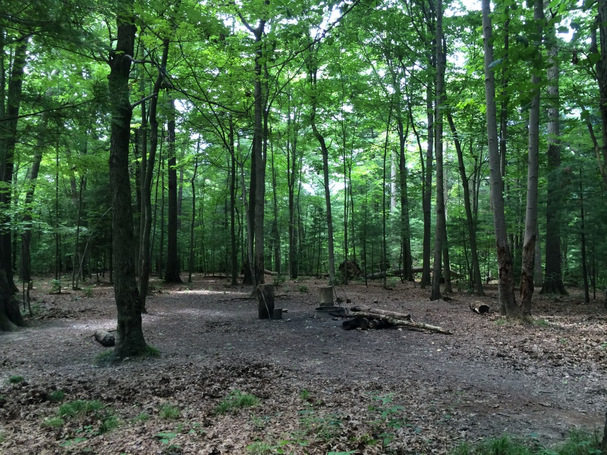Backpacking at Mohican-Memorial State Forest - HubPages