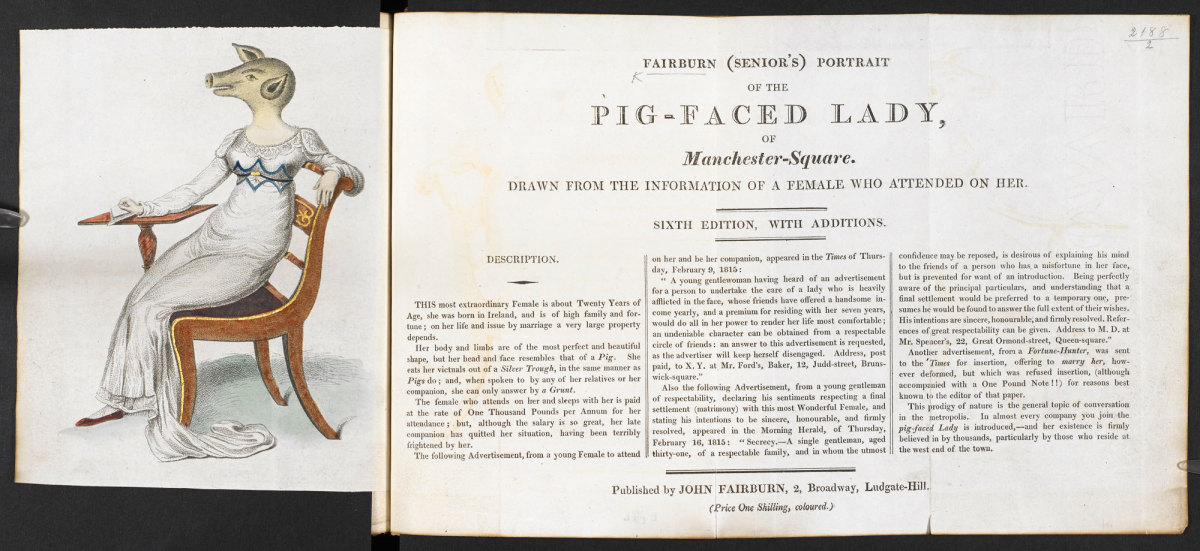 The Legend of Pig-Faced Women - HubPages