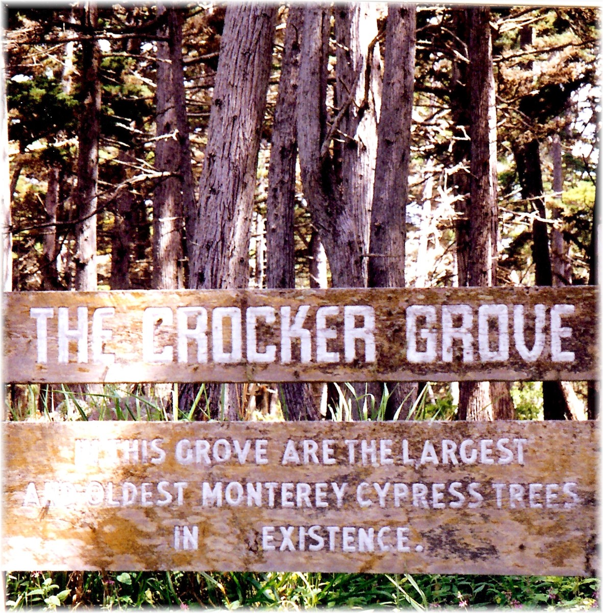 Famous 17-Mile Drive in California (Including Pebble Beach and Seacoast ...