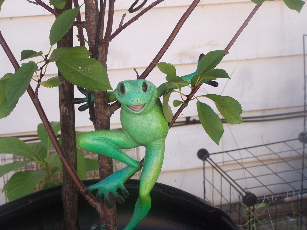 Punctuate, Spell it Right (Punctuation on Parade) - LetterPile