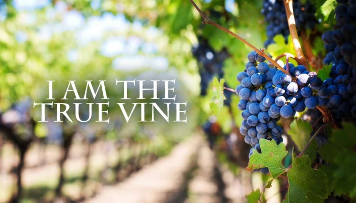 7 "I Am" Statements of Jesus - HubPages