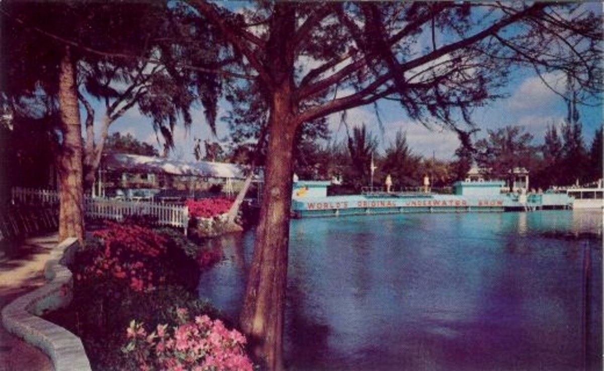Vintage Postcards Showing Underwater Mermaids From Weeki Wachee ...