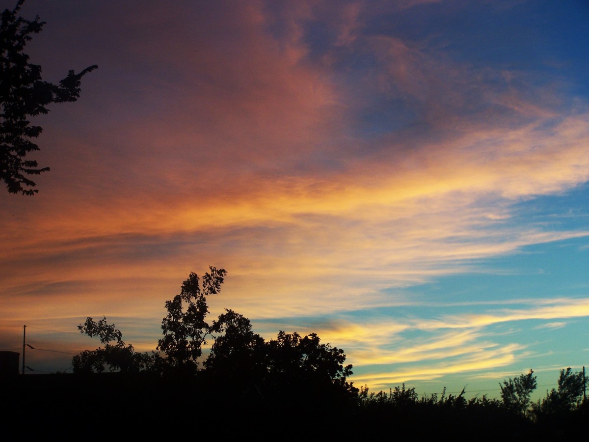 The Sun Star S Grand Cascade Letterpile