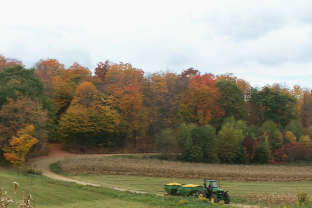 Autumn in the Hills of Potter County, Pennsylvania - LetterPile