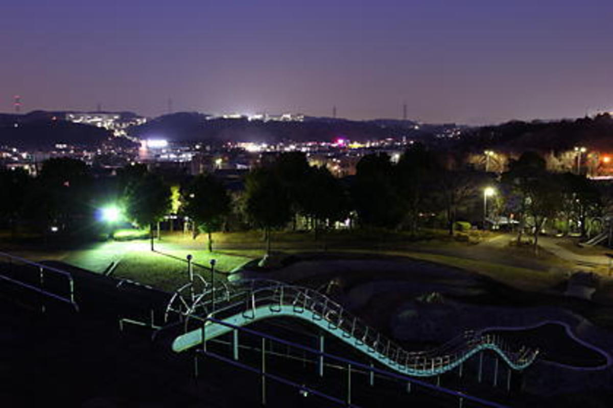 Midnight Adventures Around West Tokyo - LetterPile