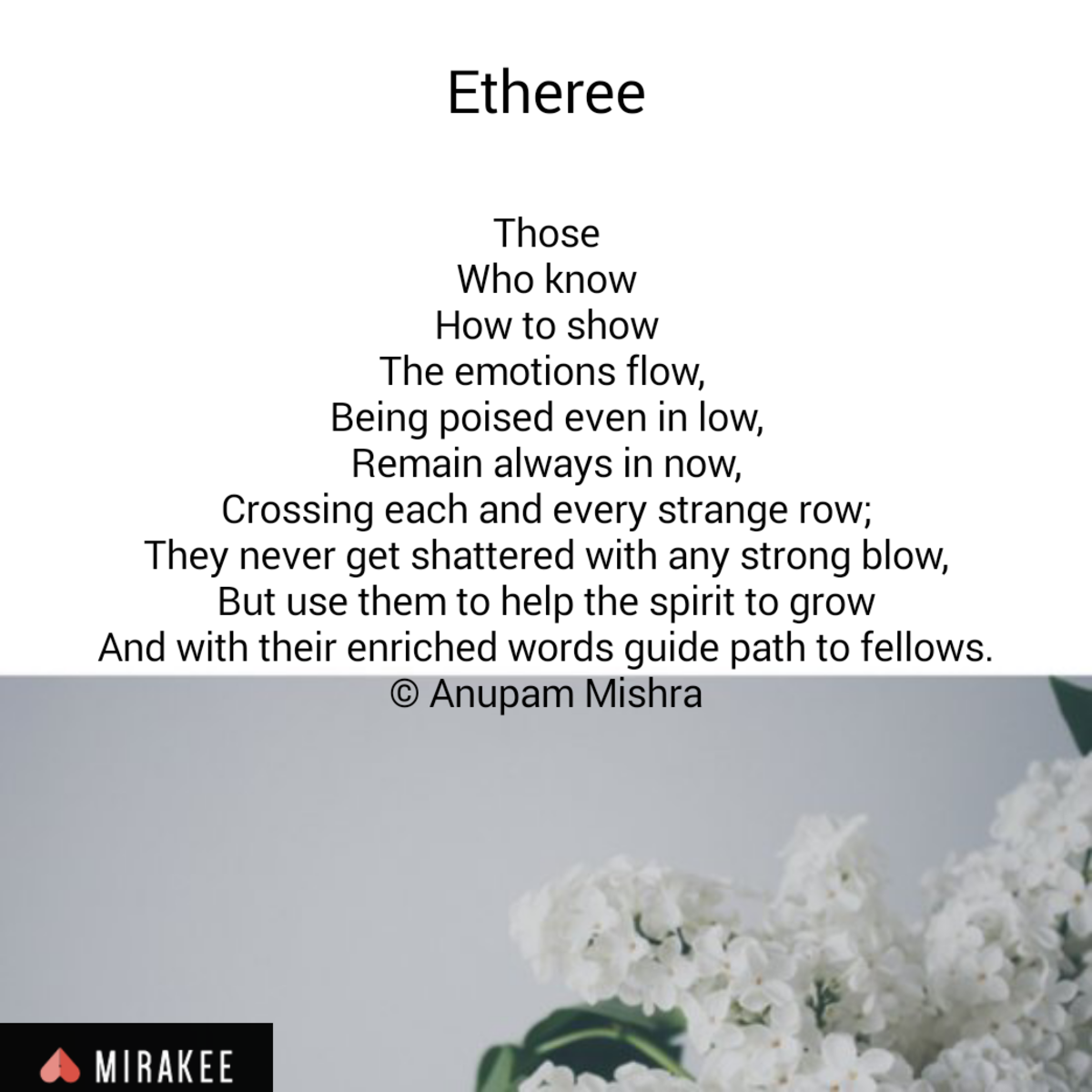 Can I Write Poems - LetterPile