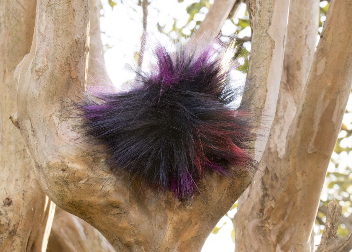 A Complete Guide to Raising a Tribble - LetterPile