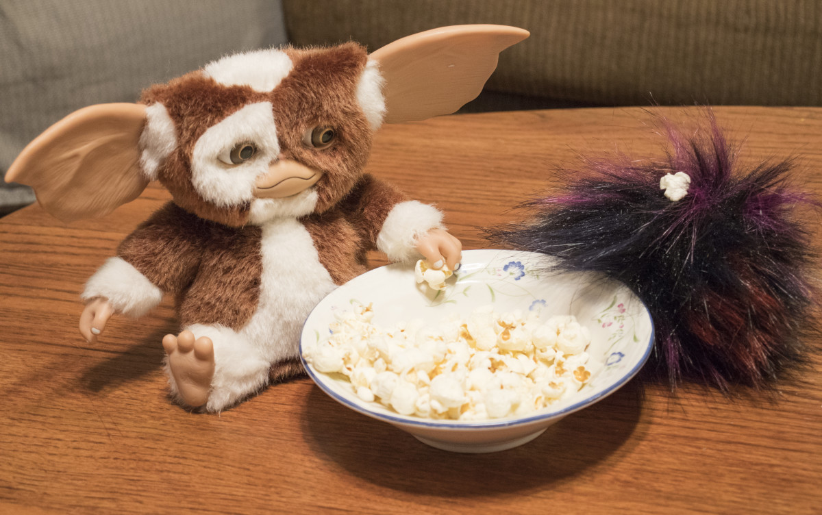 A Complete Guide to Raising a Tribble - LetterPile