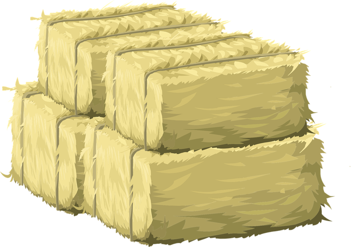A Bit About Hay in it's Hay Day - LetterPile