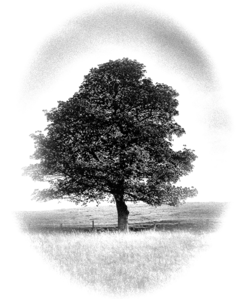 Richard Laverick on HubPages