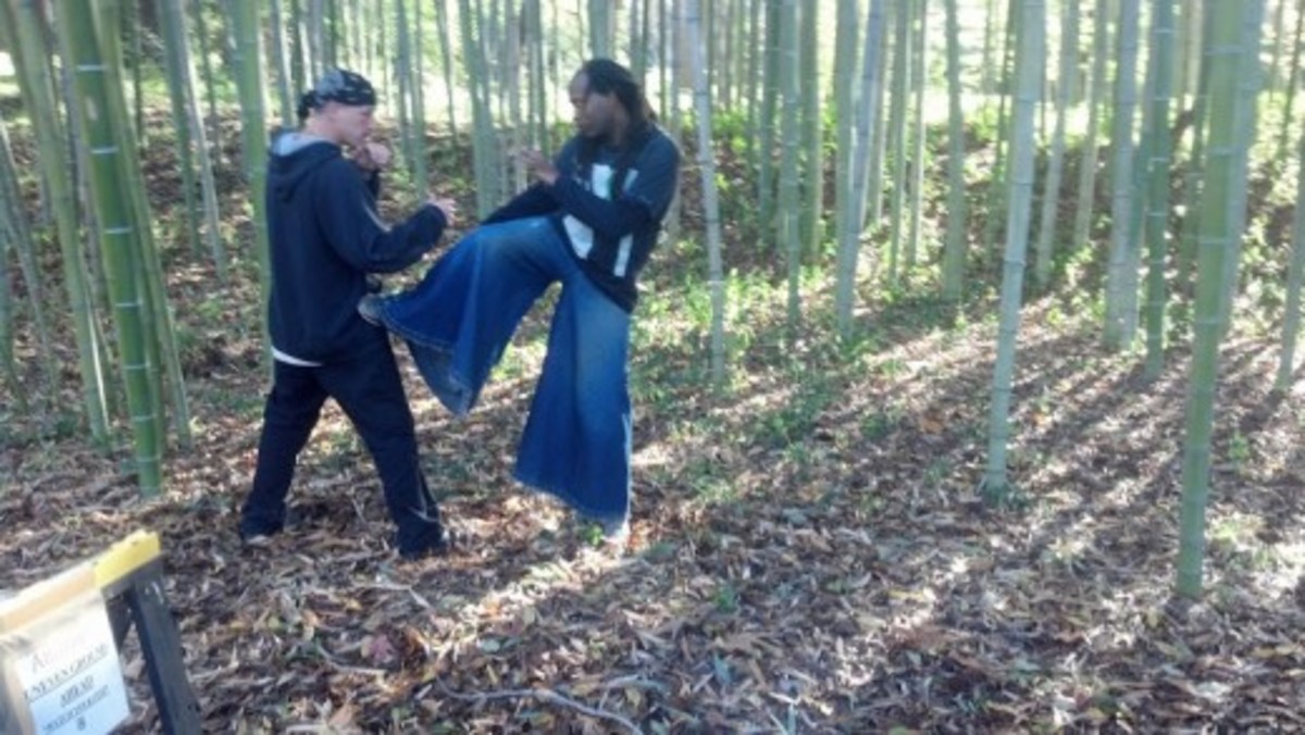 What Are the 3 Basic Ranges of Combat? - HubPages