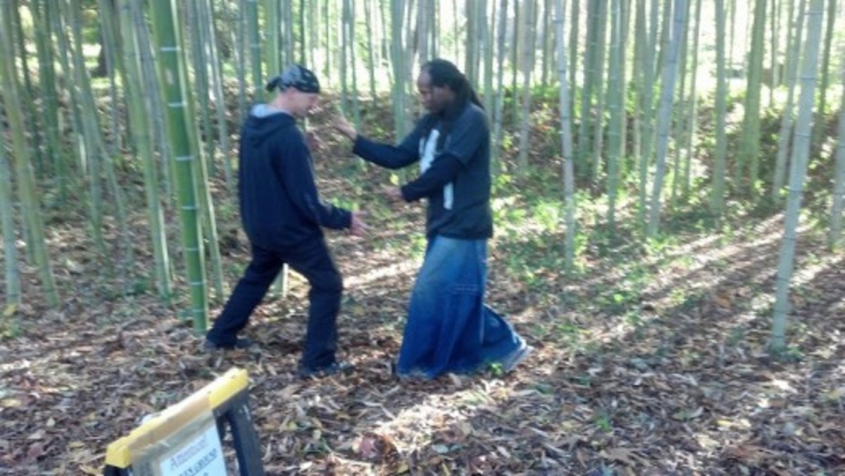 What Are the 3 Basic Ranges of Combat? - HubPages