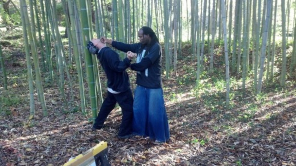 What Are the 3 Basic Ranges of Combat? - HubPages