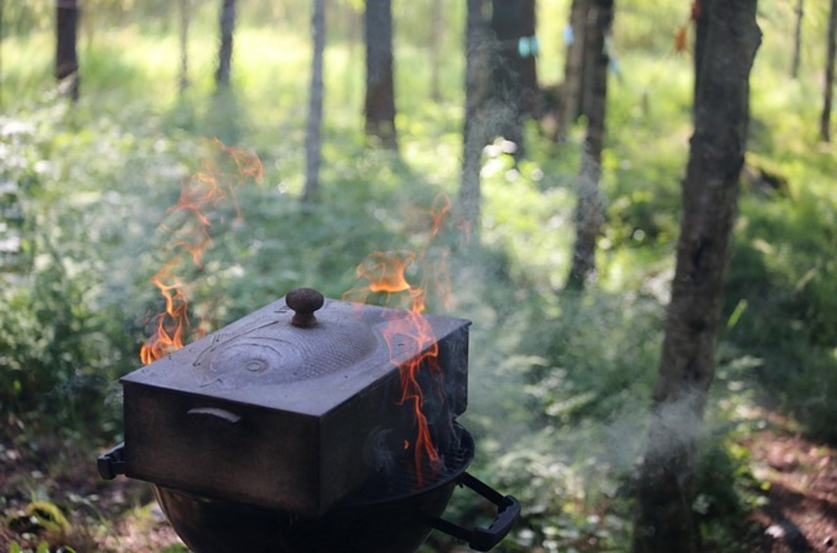 Aboriginal Food Preparation Techniques at George Delano blog