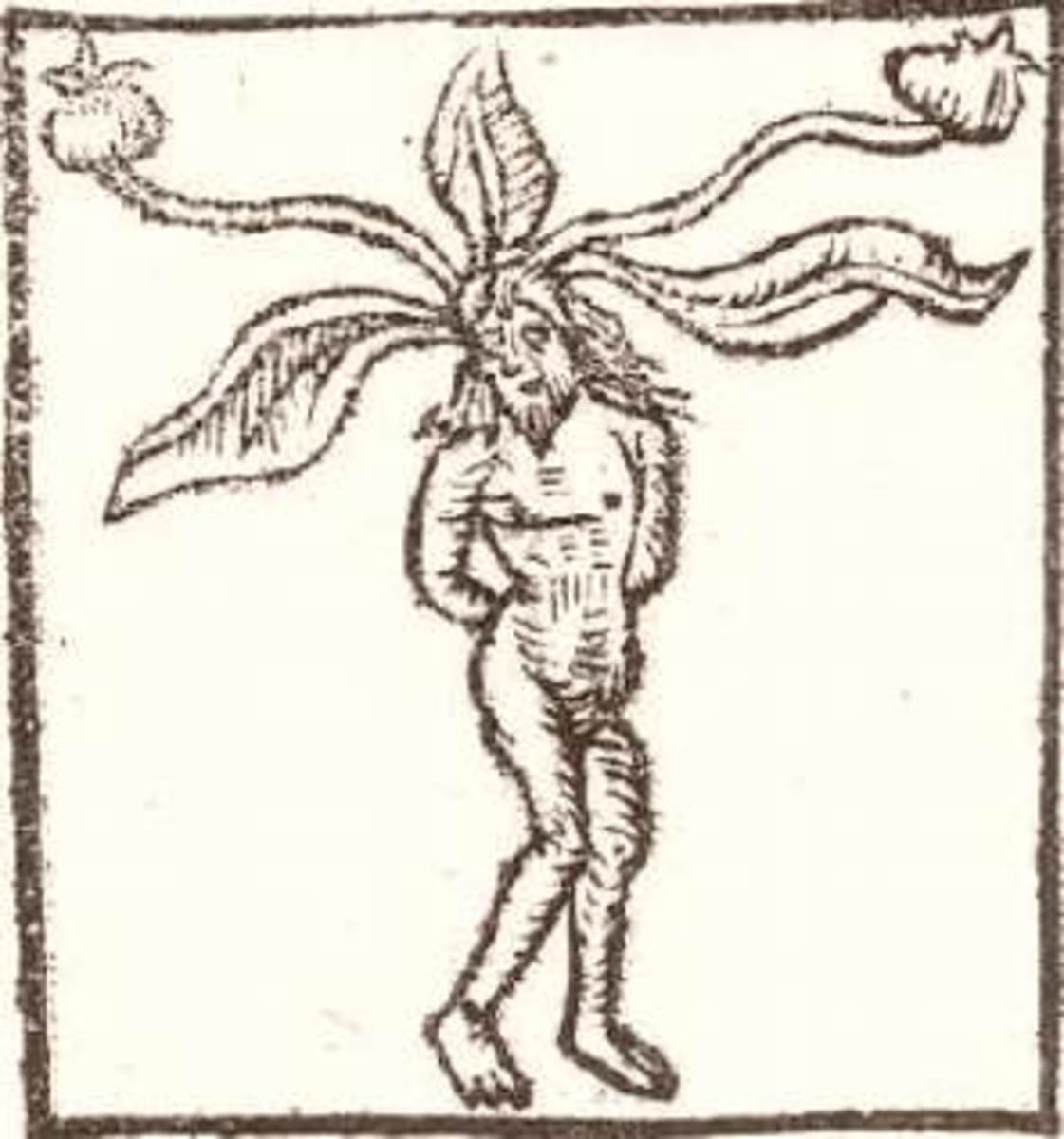 The Great Soma Mystery - HubPages