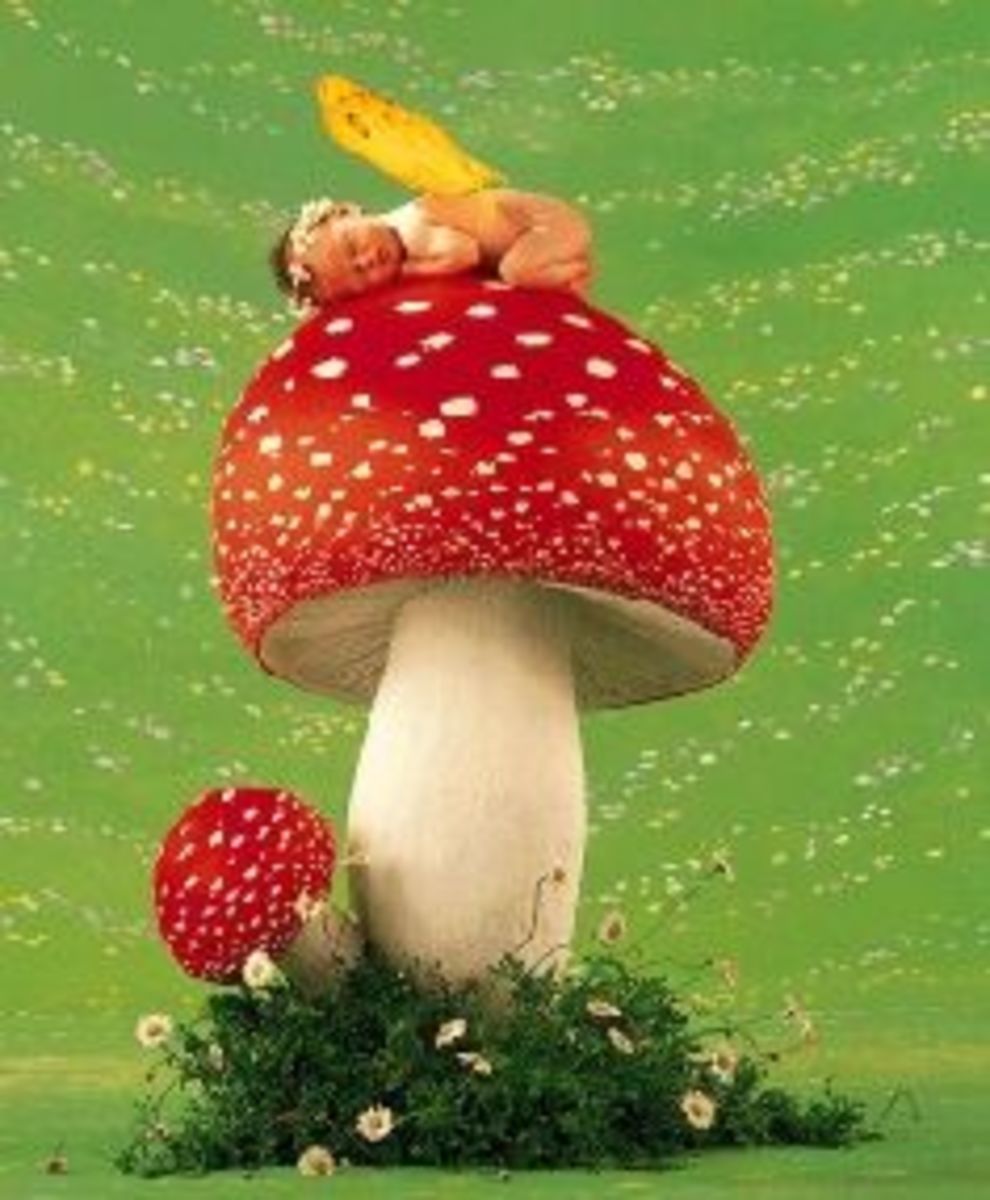 The Great Soma Mystery - HubPages