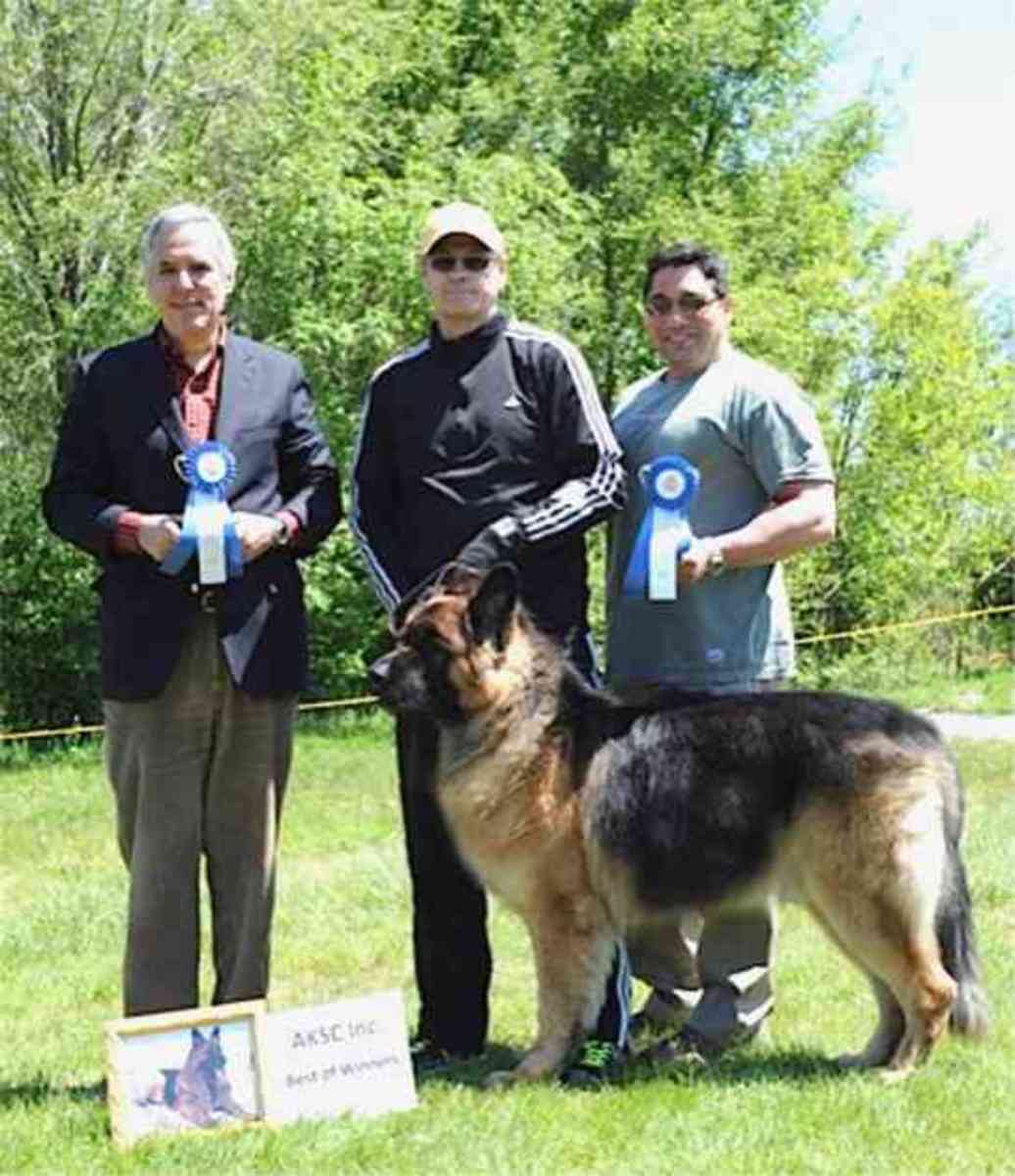 The 10 Most Respected Breeders Who Founded New Dog Breeds - HubPages