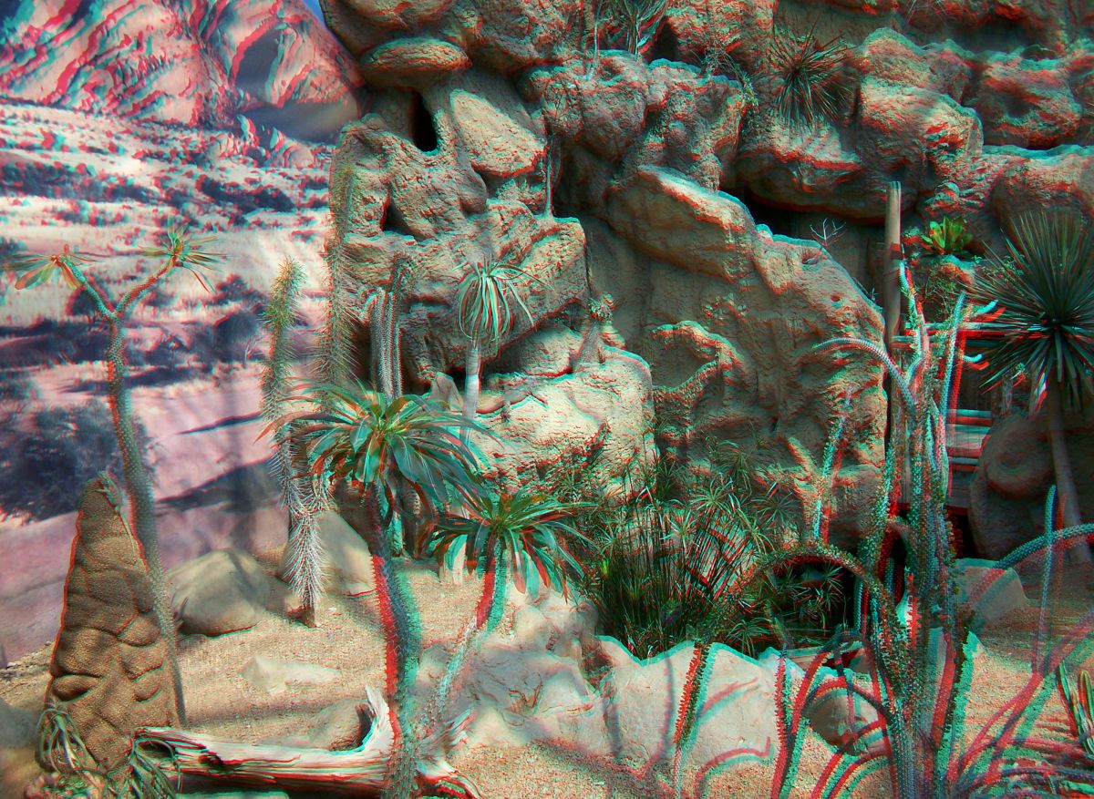 How to Take 3D Pictures: For Anaglyph, Stereoscopic, or Wiggle - HubPages