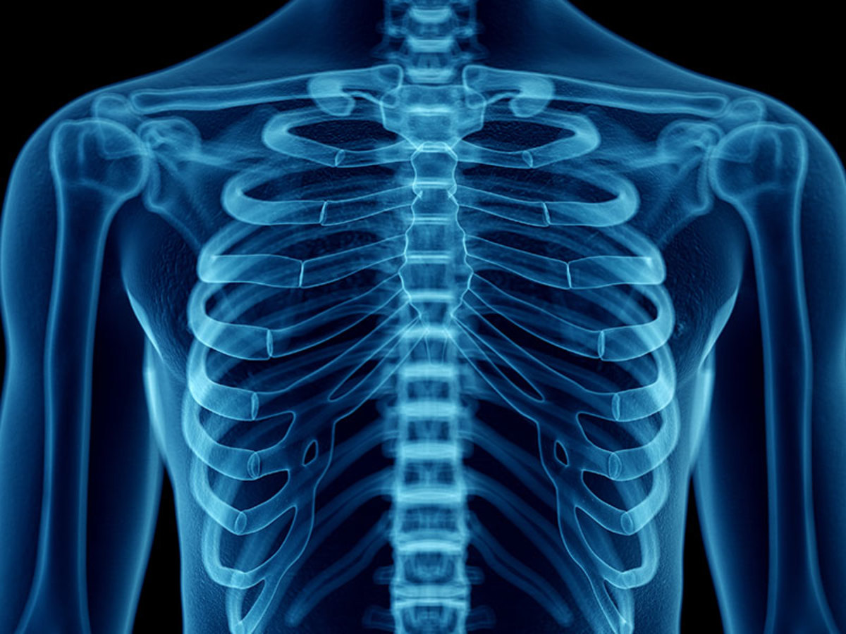 The Unseen Believing in Christ Without Seeing Christ and Christ Sighted ...