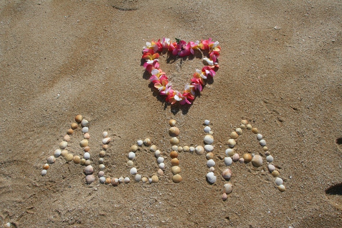 Crazy Hawaii Laws - HubPages