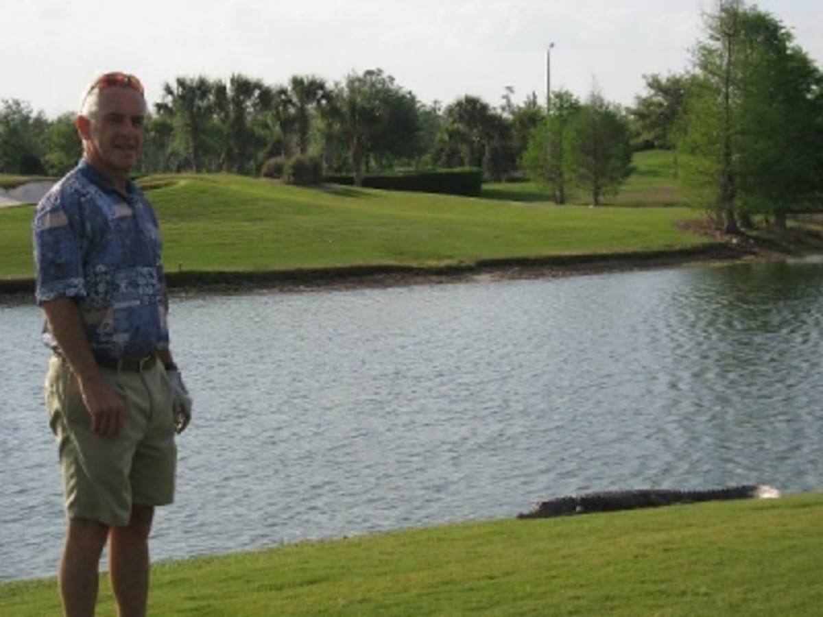 Florida Wildlife on the Golf Course - HubPages