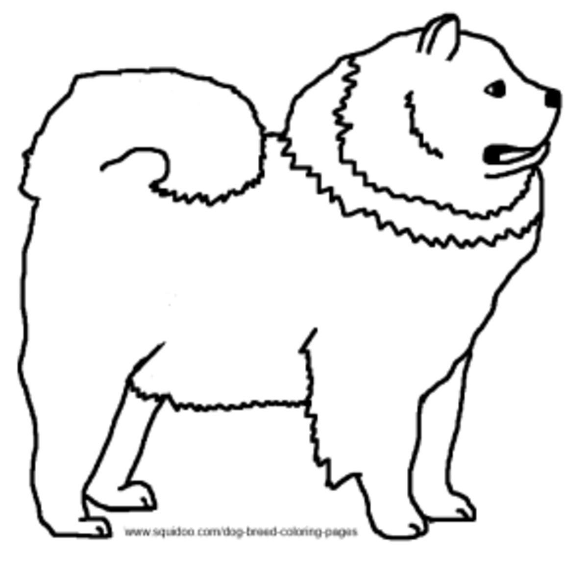 Dog Breed Coloring Pages - HubPages