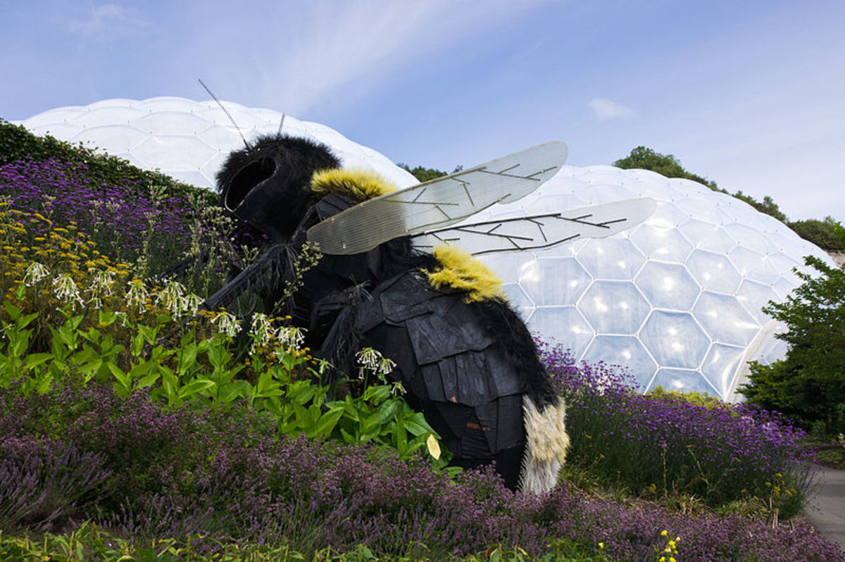 Eden Project, Cornwall - HubPages