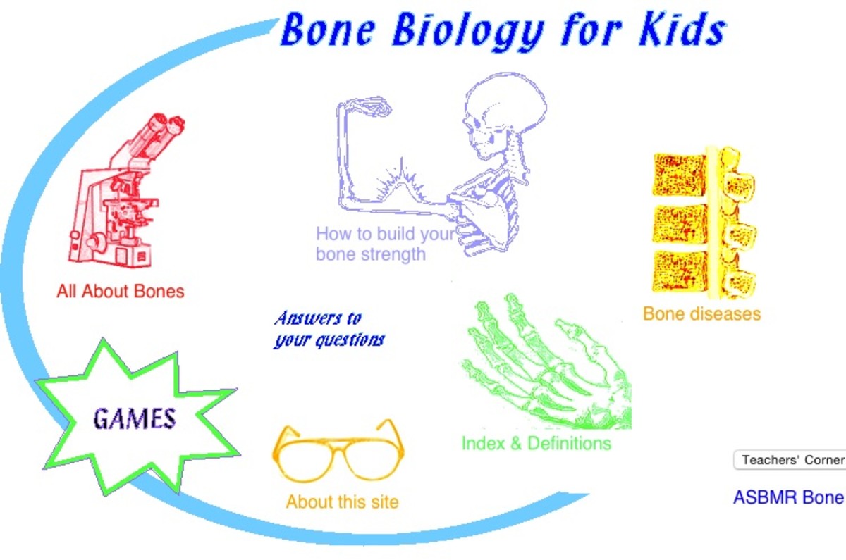 10 Terrific Human Body and Anatomy Websites for Kids - HubPages