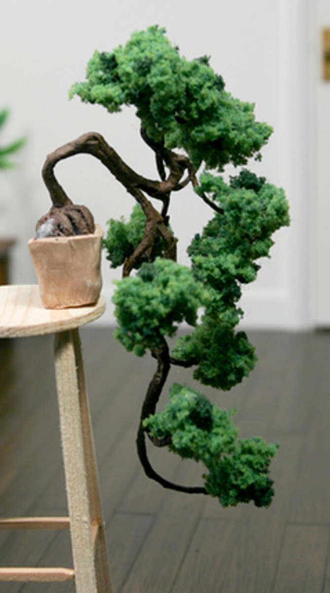 Bonsai Classification: Different Types of Bonsai Trees - HubPages
