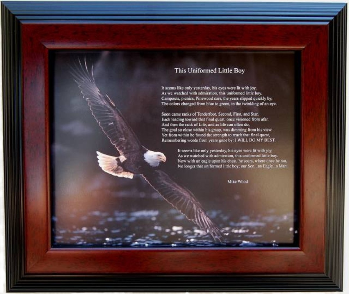 The Mighty Bald Eagle – USA National Symbol - HubPages