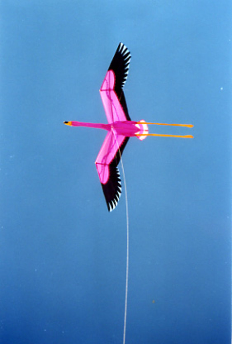 The Kite That Wouldn't Fly. - HubPages