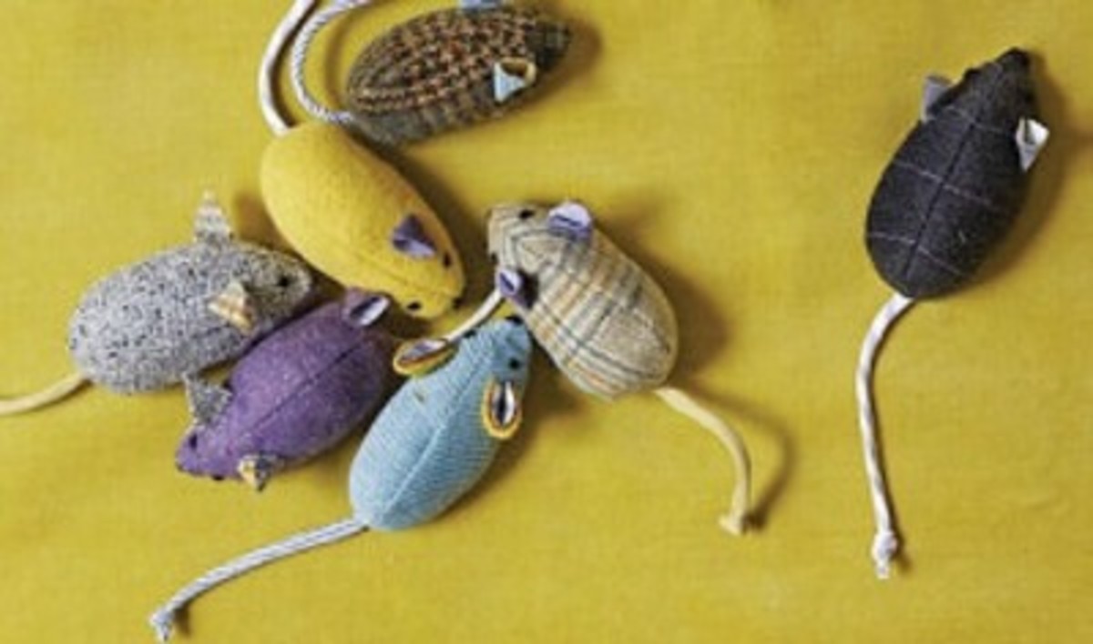 32 Fun and Creative Mouse Crafts - HubPages