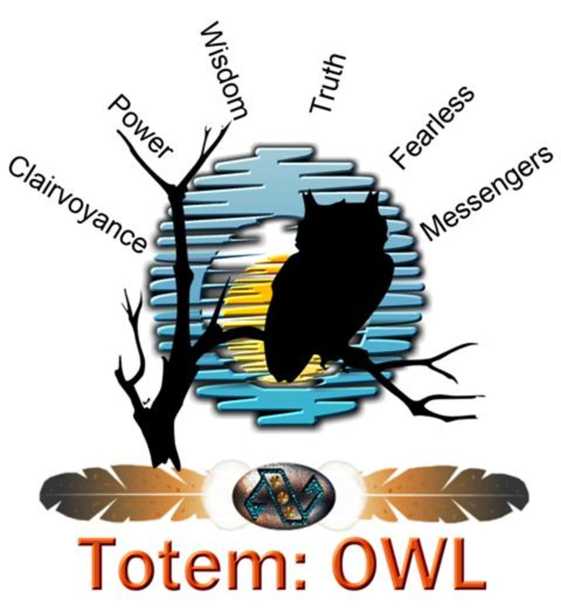 Owl: What Does It Mean When Truth, Power, and Wisdom Visits You - HubPages