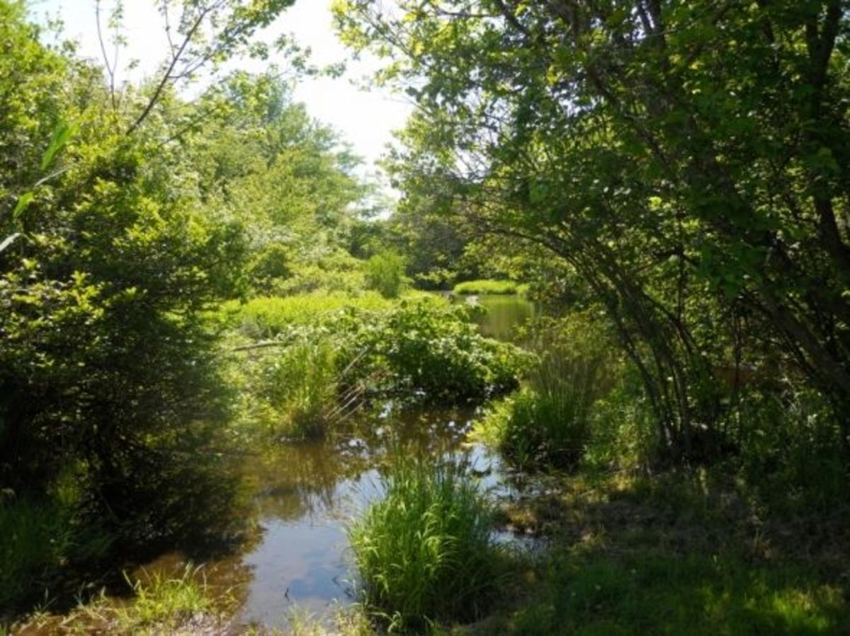 Haley Farm State Park, Groton, Connecticut - HubPages