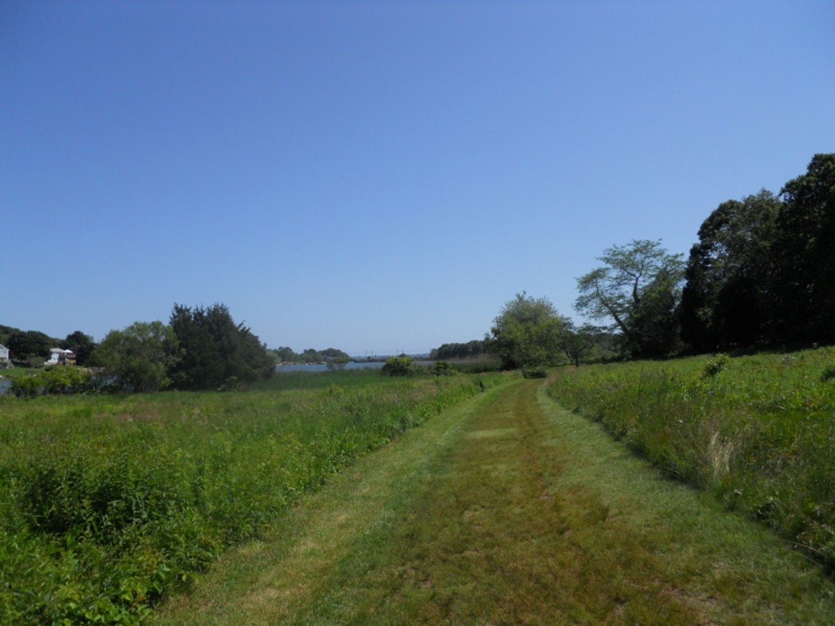 Haley Farm State Park, Groton, Connecticut - HubPages