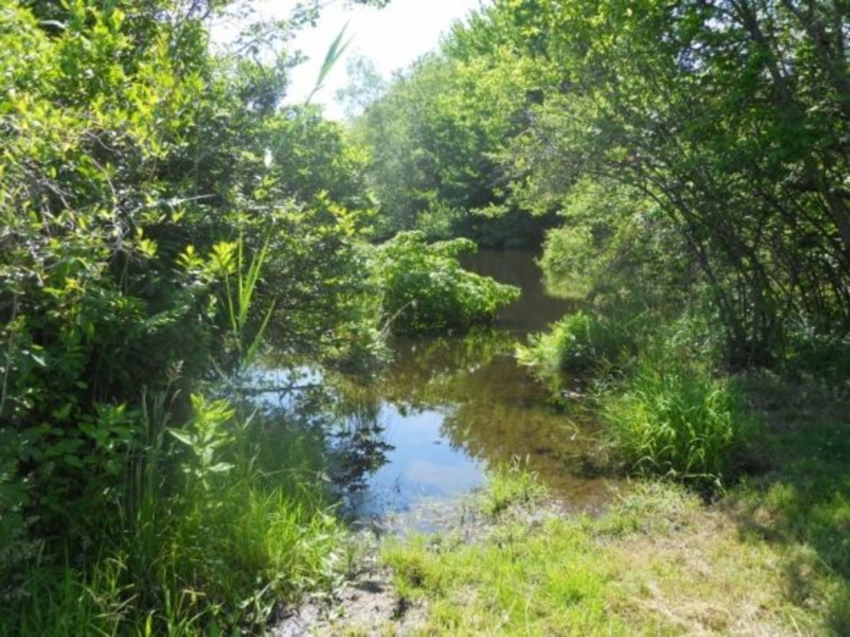 Haley Farm State Park, Groton, Connecticut - HubPages