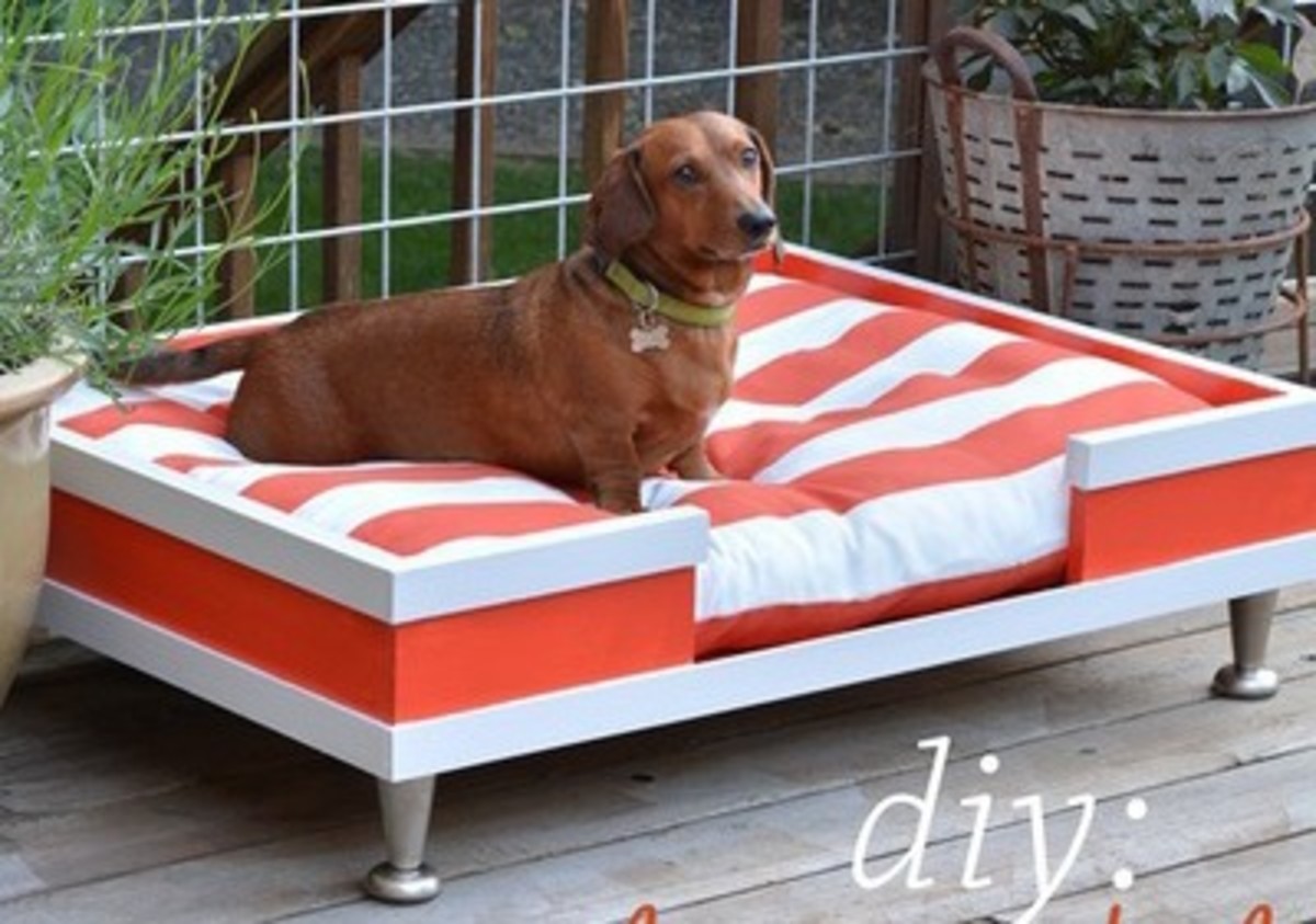 27 Spectacular DIY Pet Gift Craft Ideas - HubPages