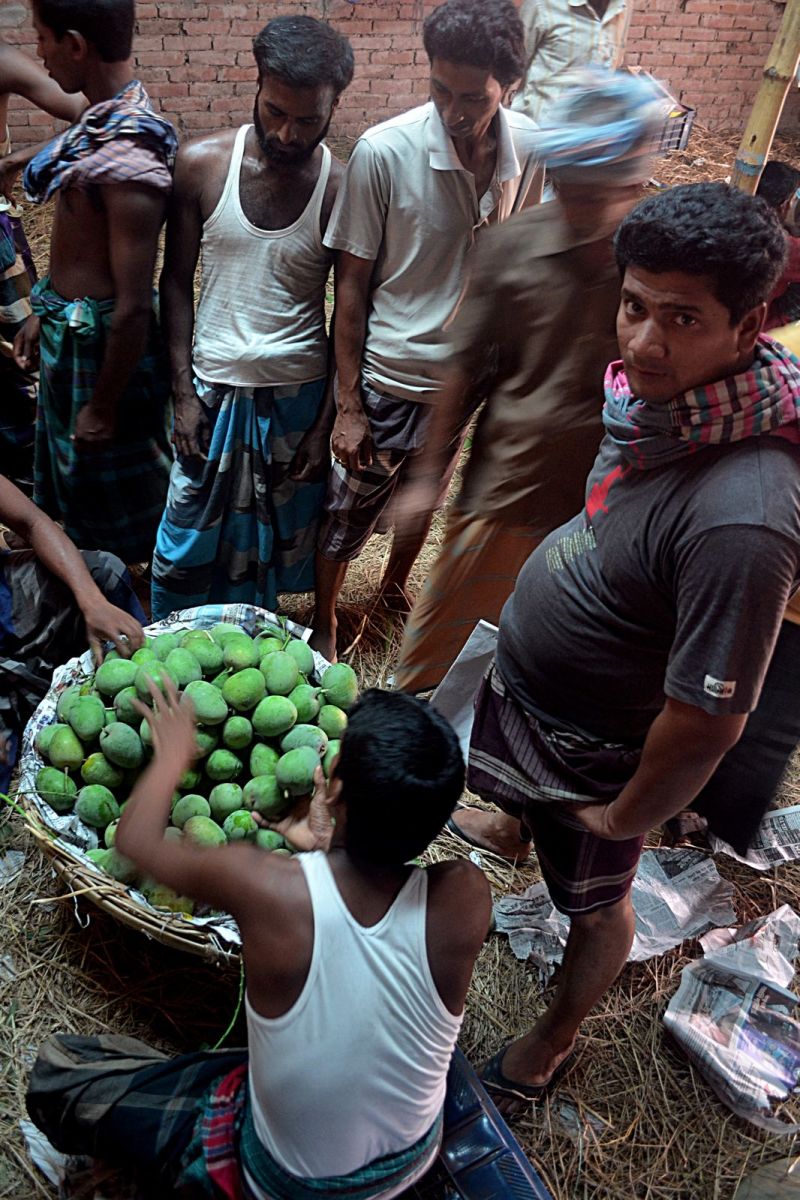 Mangoes of Bangladesh Rajshahi, Chapainawabganj, Nawabganj, and ...