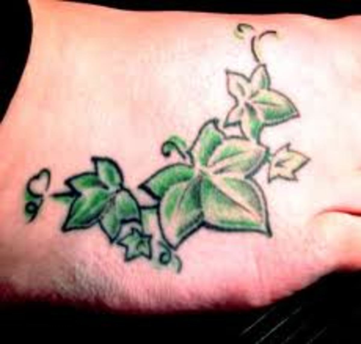 Ivy Tattoo Designs And Meanings-Ivy Flower Tattoos And Vine Tattoos ...