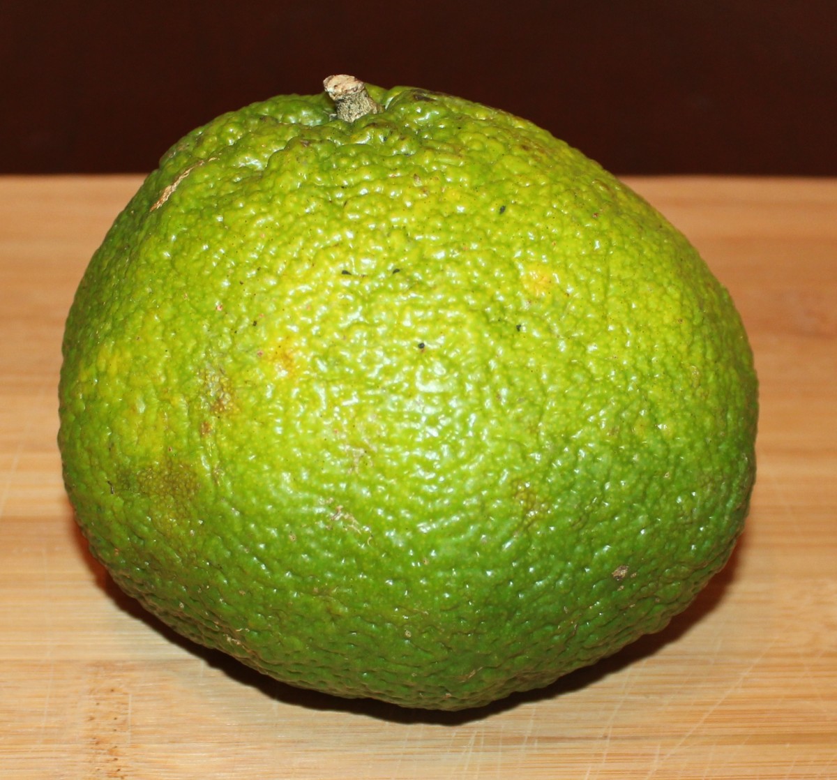 Ugli Fruit Tree - HubPages