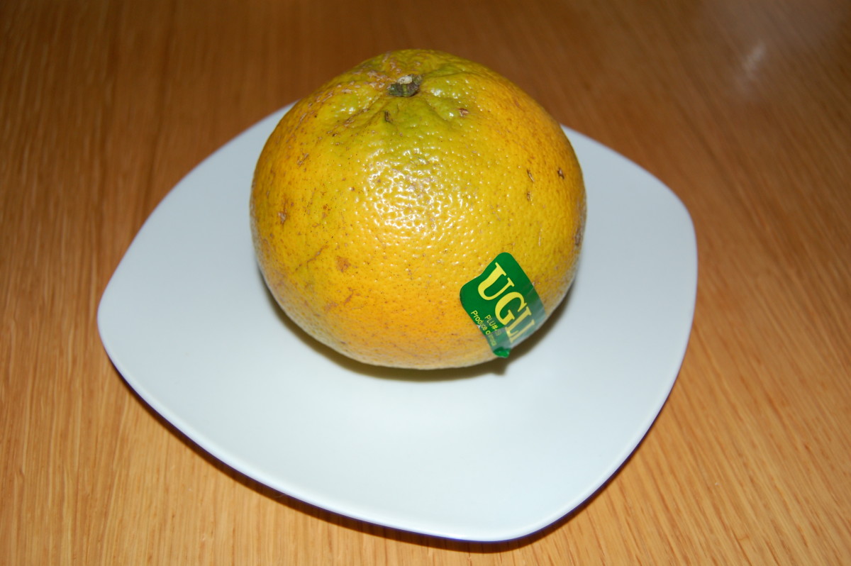 Ugli Fruit Tree - HubPages