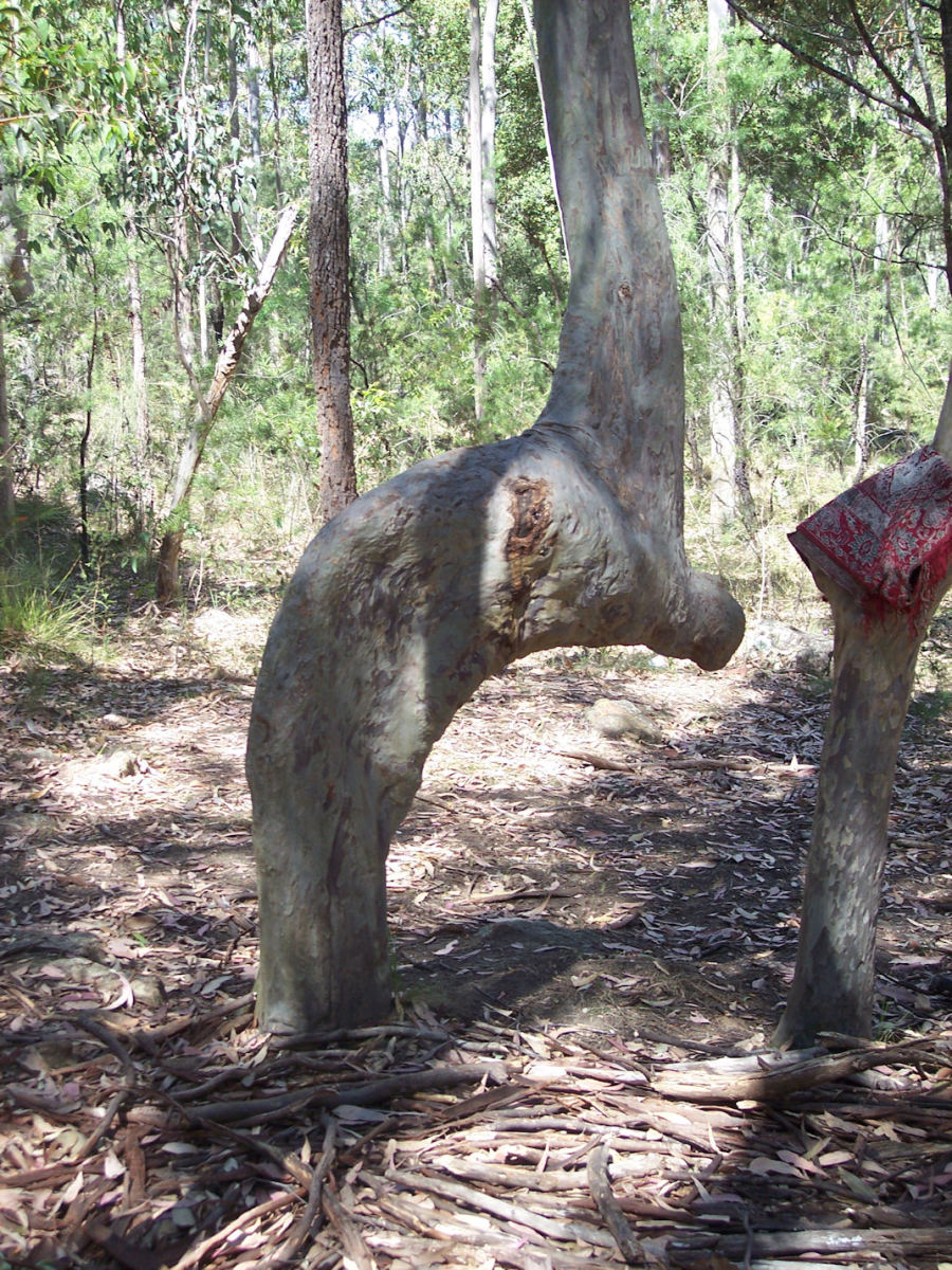 Miracles In Islam: Islamic Miracles in Nature - Plants, Fruits, Rocks ...