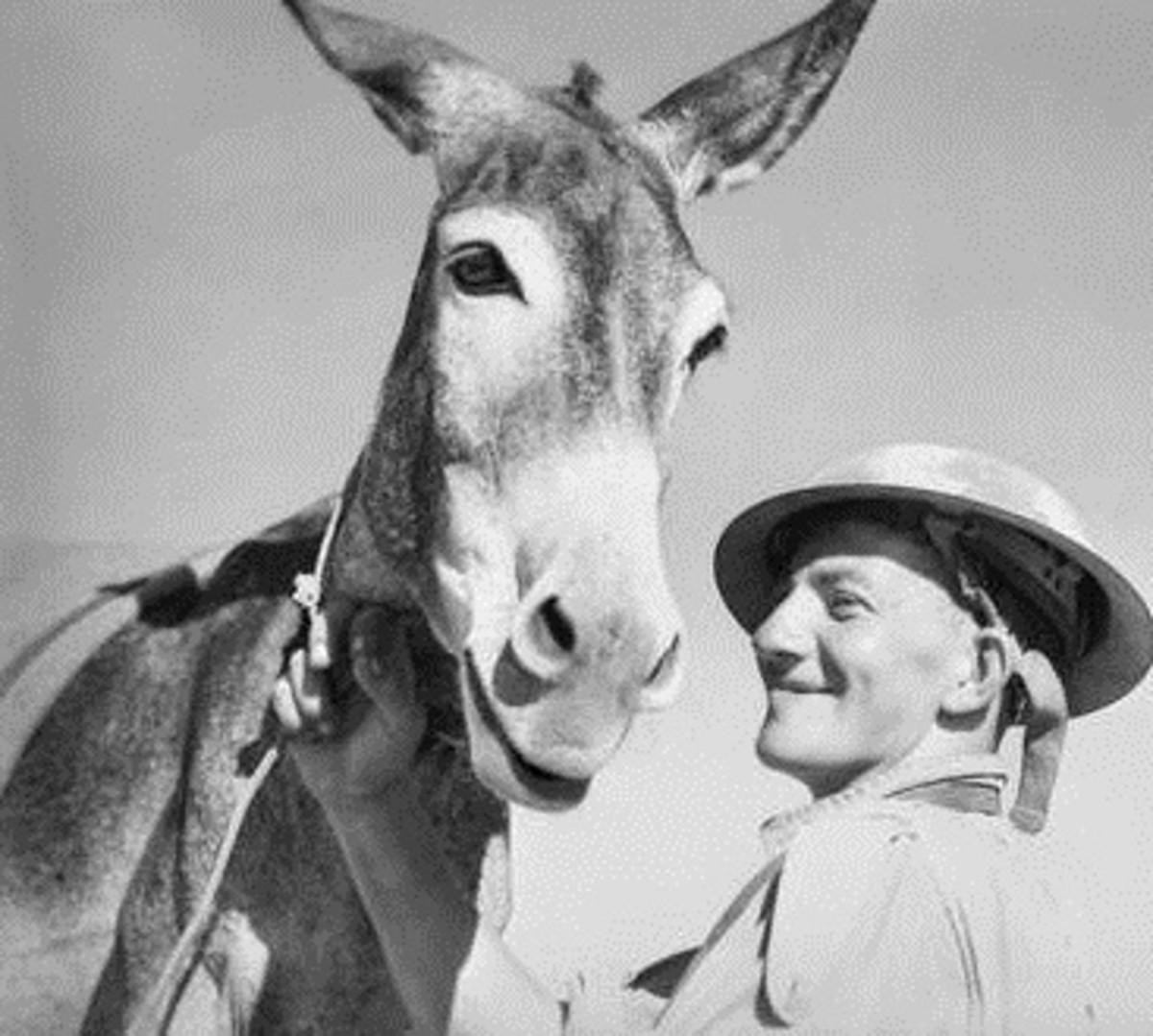 The 10 Most Ridiculous Bible Stories - HubPages