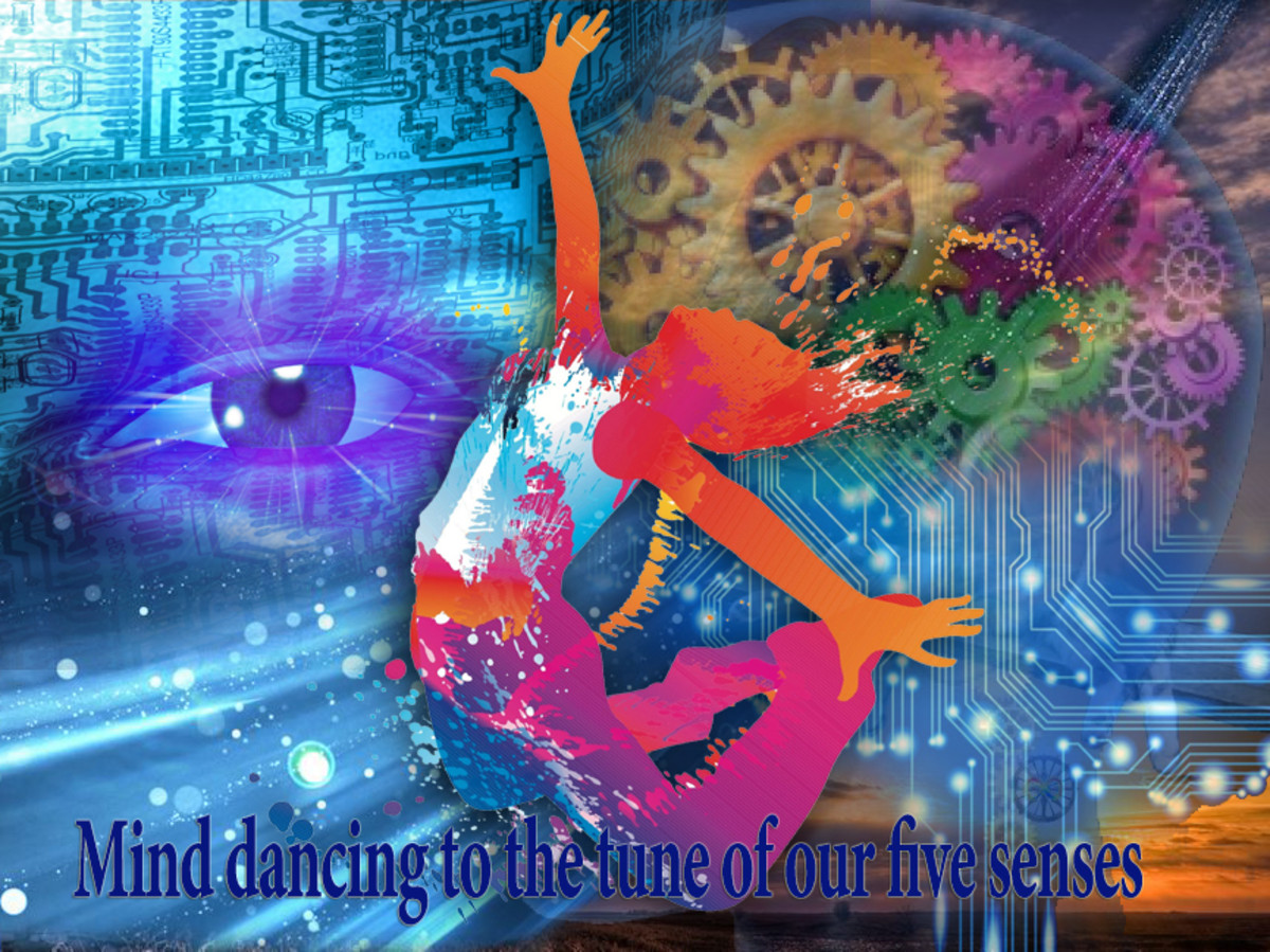 The Difference Between Wisdom, Intellect & Mind - HubPages