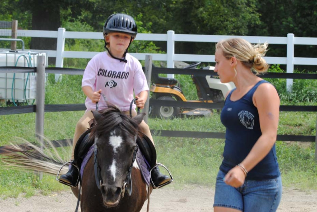 Giving Horseback Riding Lessons to Beginners - HubPages